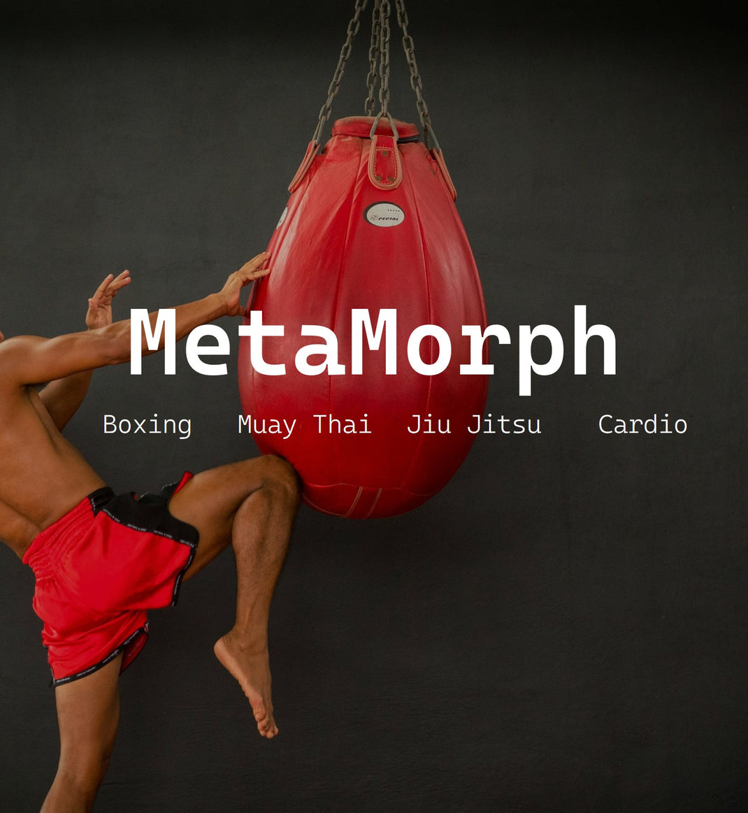MetaMorph - Social MMA Collective